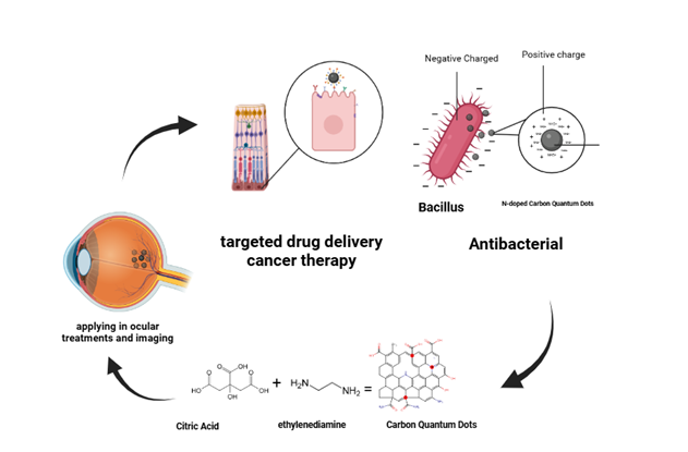 Carbon Quantum Dots as Next-Generation Nanocarriers for Targeted Ocular Drug Delivery ...